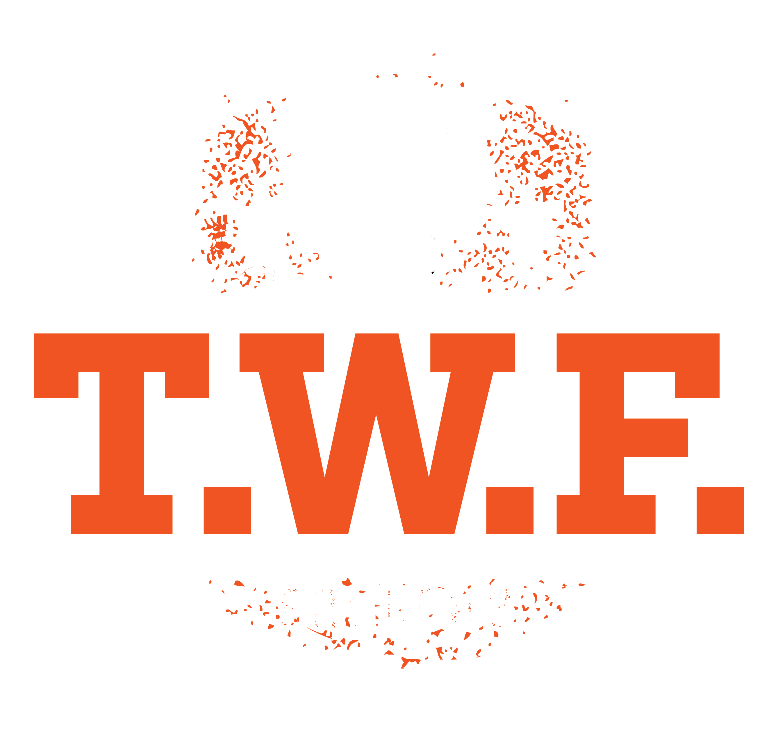 TWF – The Wing Factory Canada – The Best Wings in Town